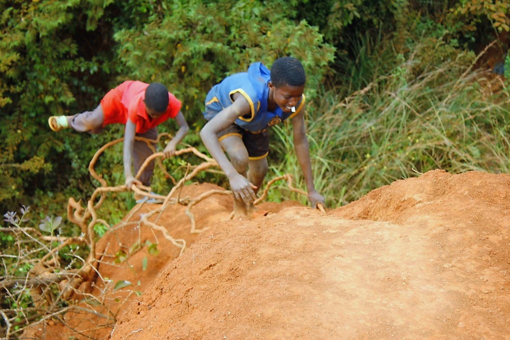 WATAKIWA KUIMARISHA USALAMA KORONGO LA BOLELO KASULU | Magazeti ya Leo ...