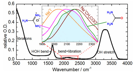 Avibert: The Bend + Libration Combination Band Is an Intrinsic ...