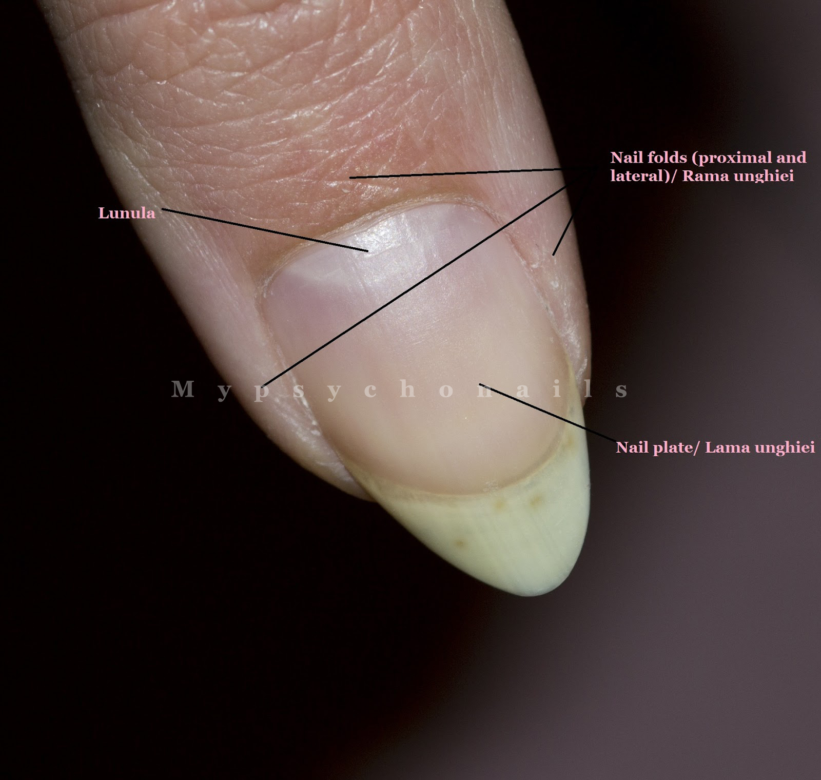 Mypsychonails: Know your nails!/ Cunoaste-ti unghiile!
