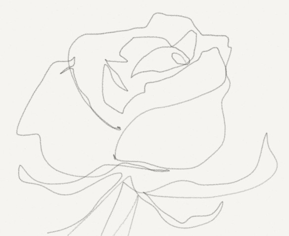 taproot studio: Blind Contour Roses