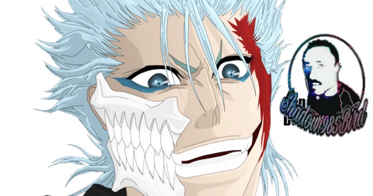 Shadow1985Bird: Bleach Anime