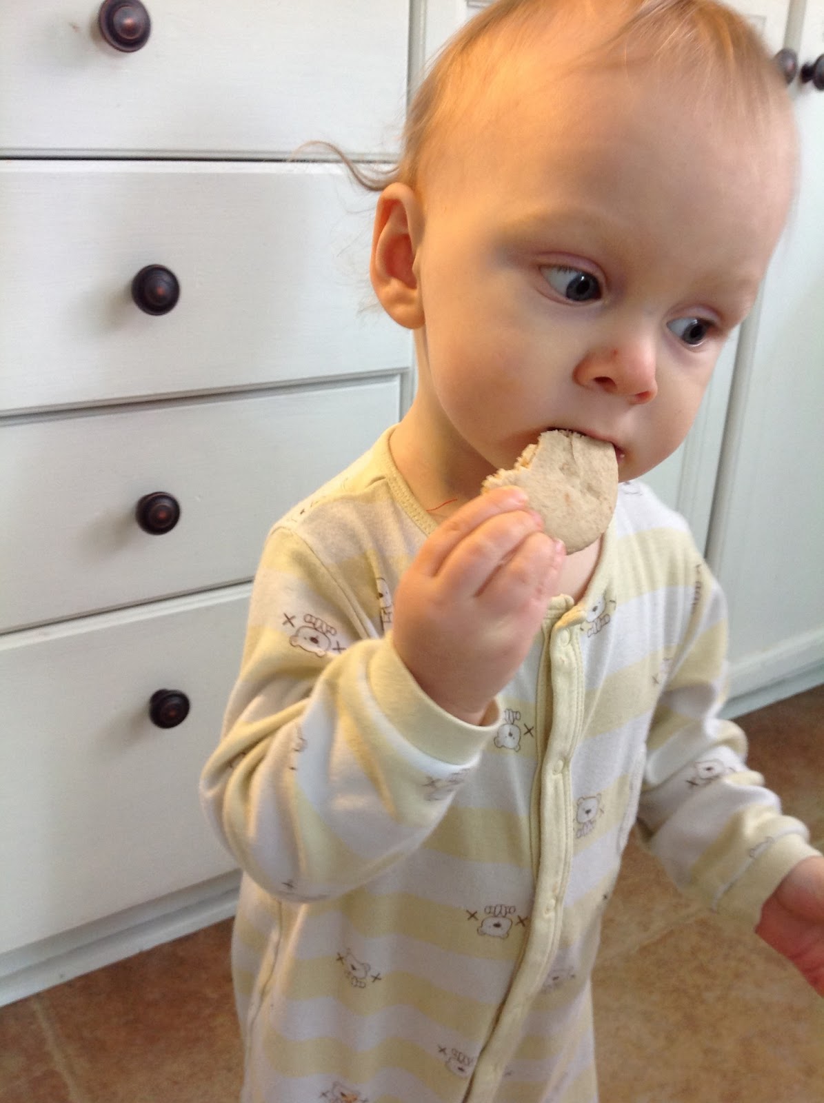 the Health Nutty Professor: Homemade Vegan Arrowroot Cookies