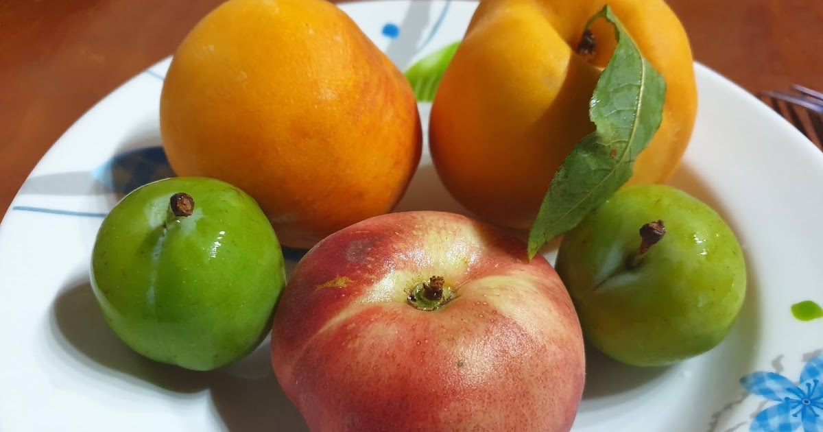 Energía Vital y Plenitud: LA FRUTA, EL MEJOR ALIMENTO.