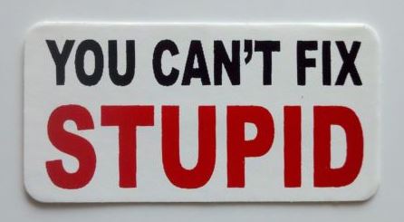 eSheep Designs: You Just Can't Fix Stupid