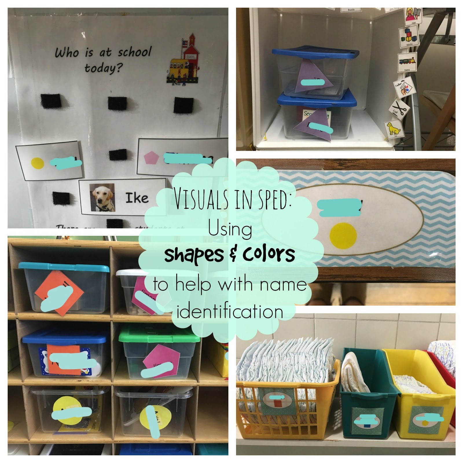 Little Miss Kim's Class: Visuals in a Special Education Classroom