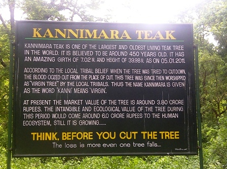 My Eyes on Kerala: Sightseeing At Parambikulam Sanctuary