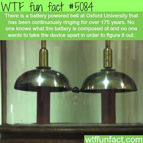 30 Amazing And Unbelievable Random Facts That Will Blow Your Mind ...