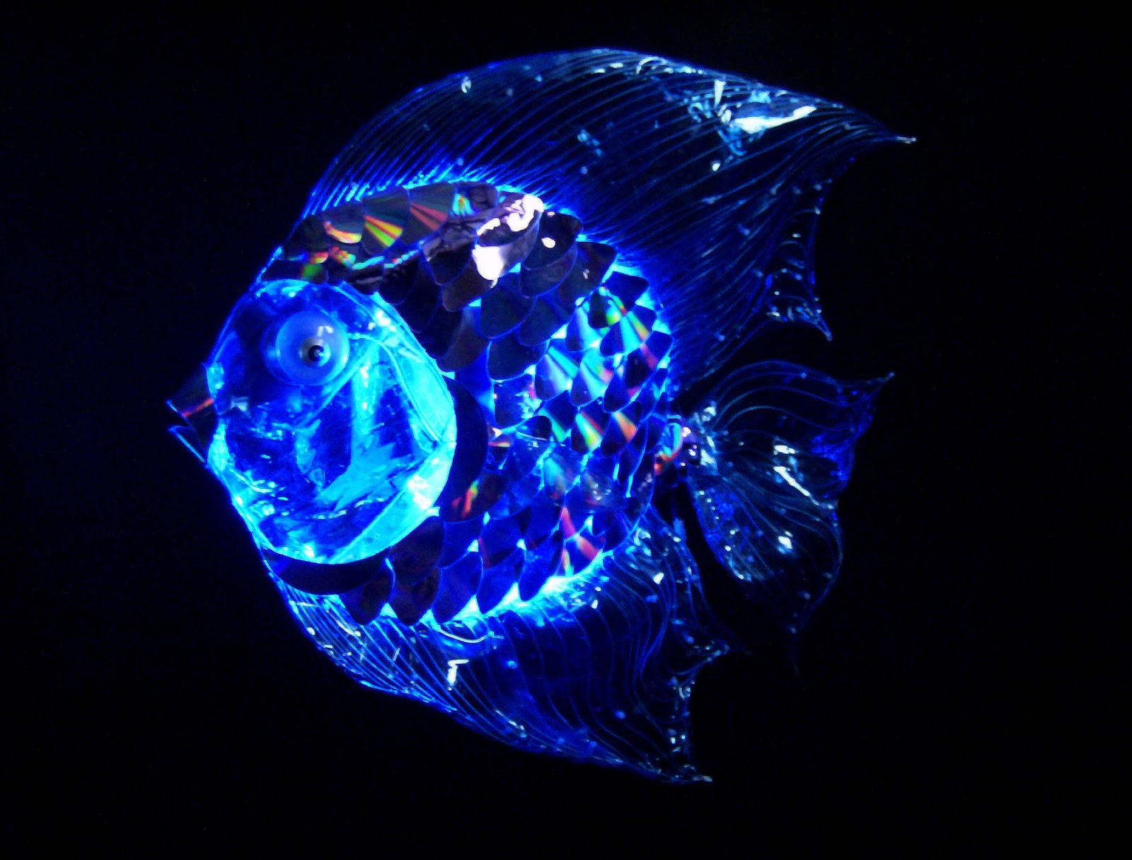 CG Reciclado Artístico: Nueva obra de la serie Peces, "Pez Azul"