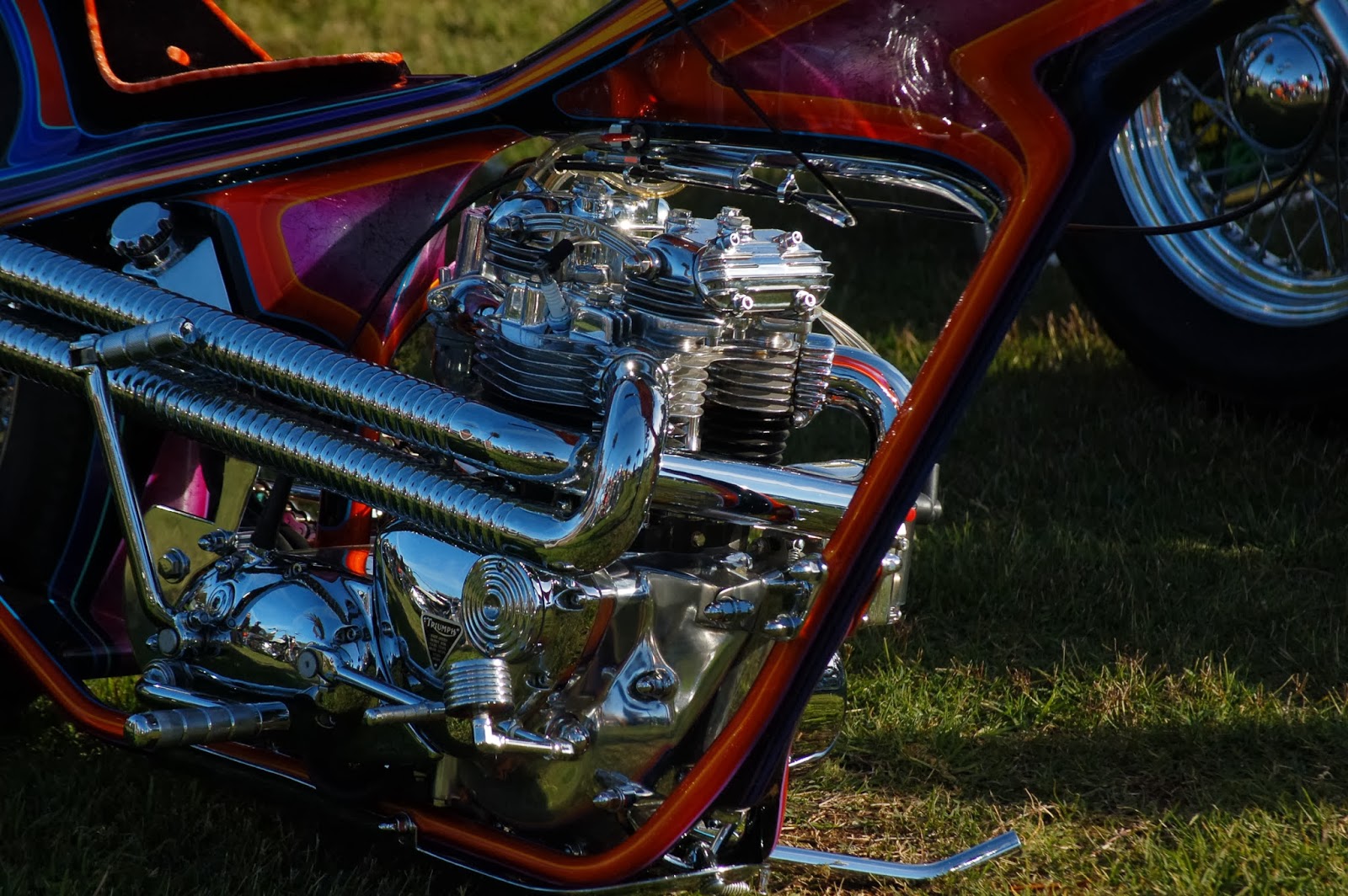 BIKERS,HIPPIES AND TATTOOED FREAKS