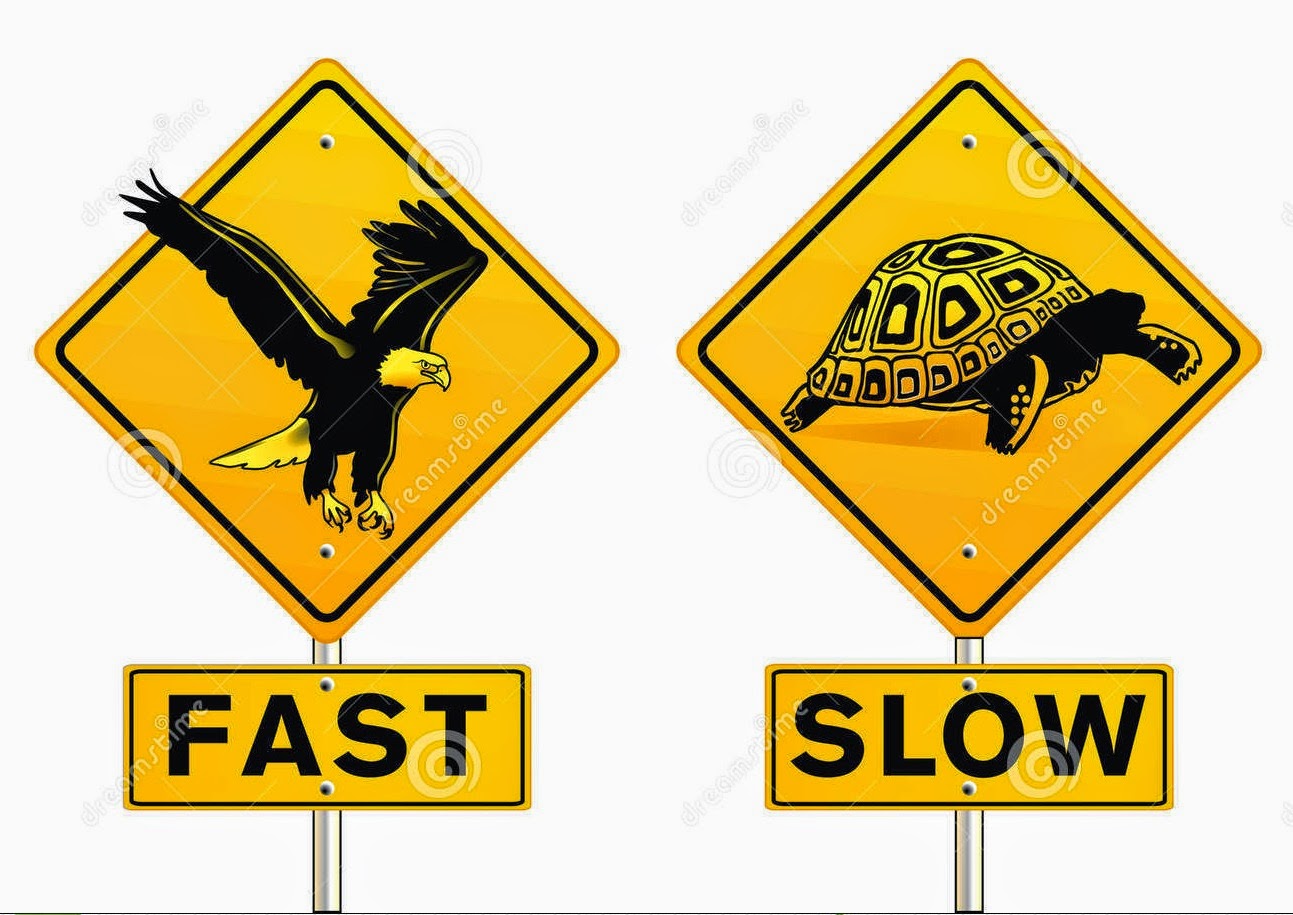 Fast and Slow