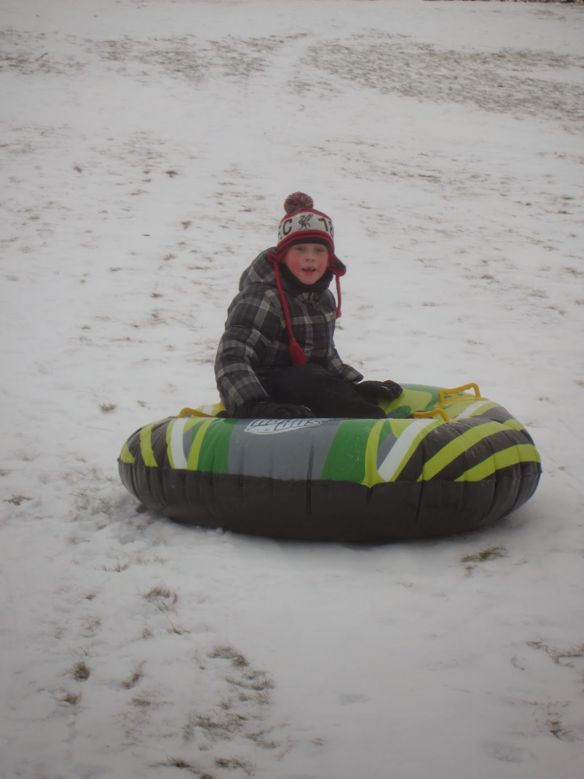 Healy Family Fun: Sledding on Grass