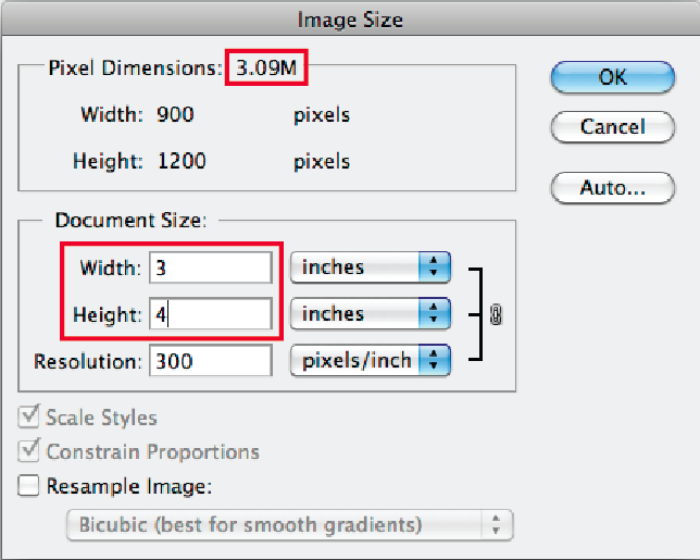 The Informed Illustrator: Digital Raster Image Resolution