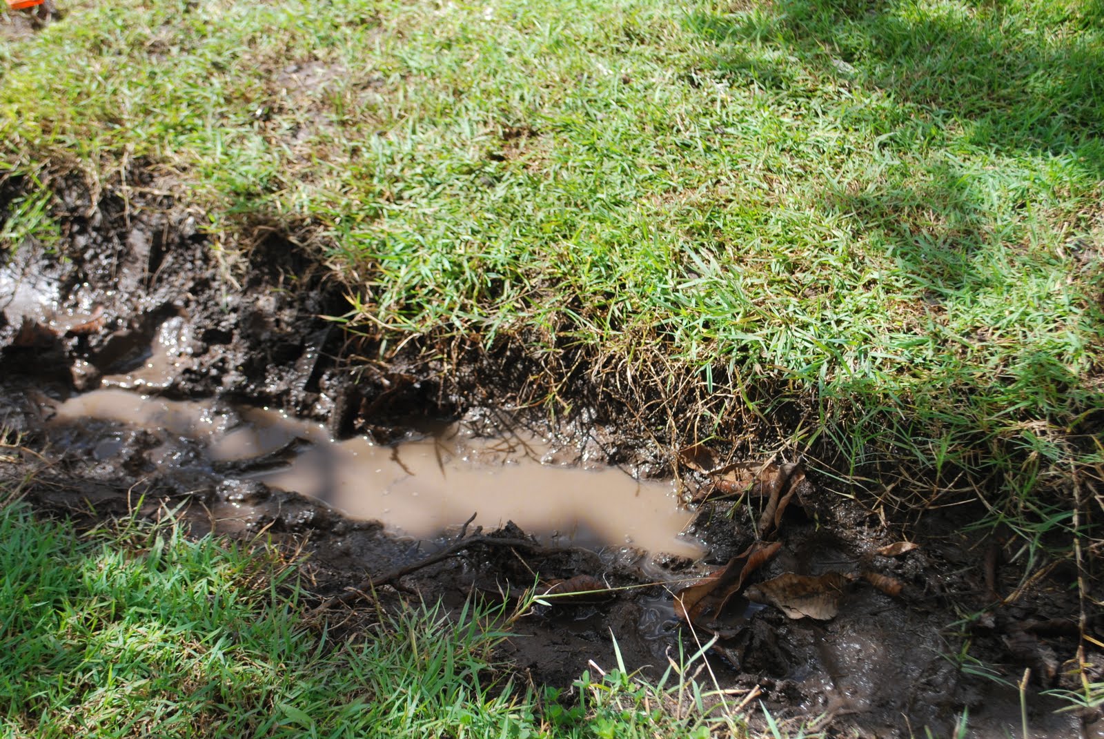 Busy Brissy Mum: Digging Patch