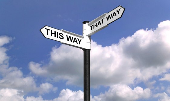 The Hills Are Burning: 2011