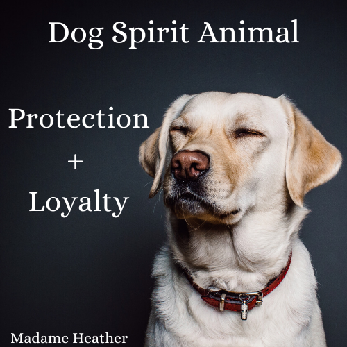 Spirit Animals that Symbolize Protection