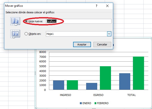 Blogfolio de Yanina Garabello: GRAFICO EN EXCEL