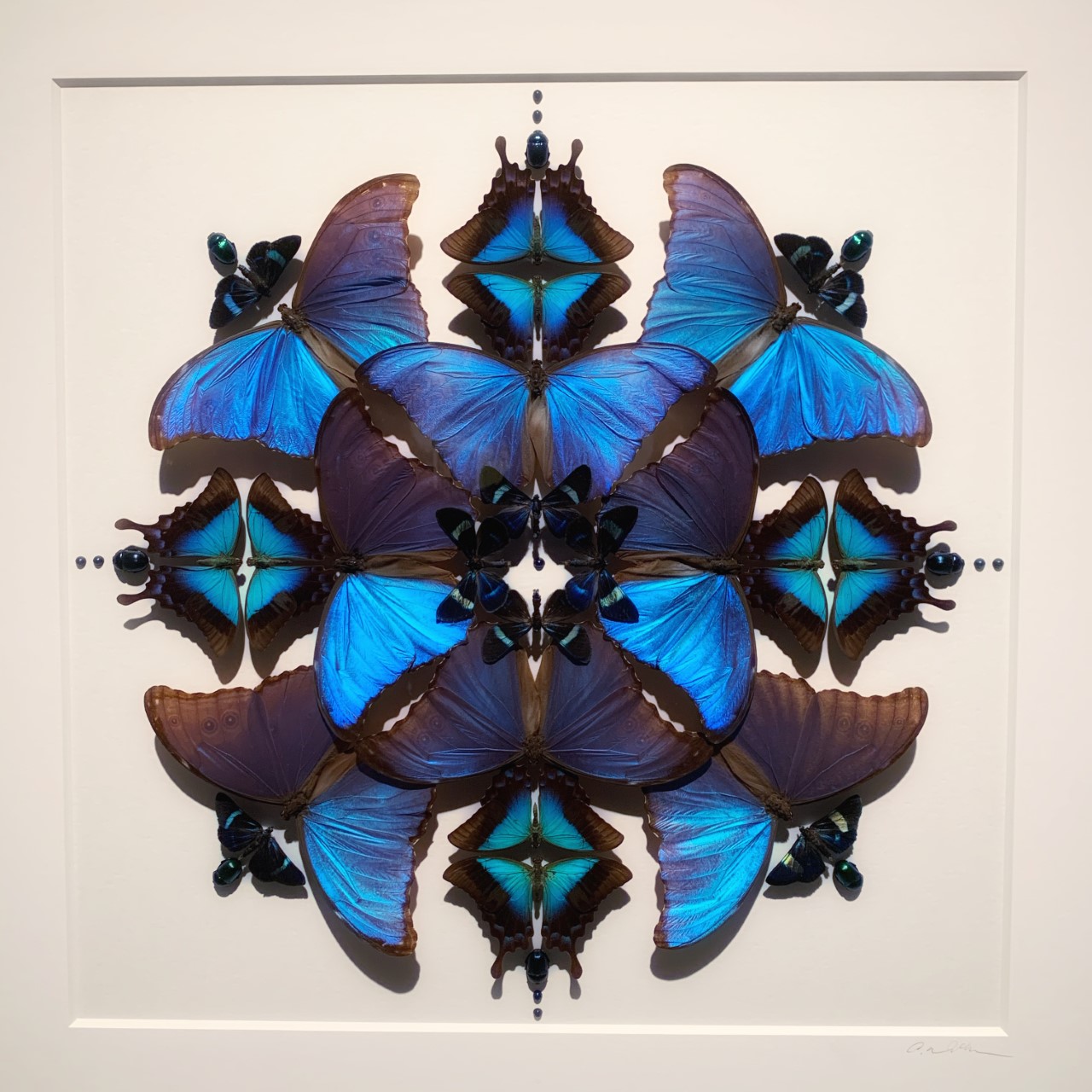 Daily Bread: Exquisite Creatures