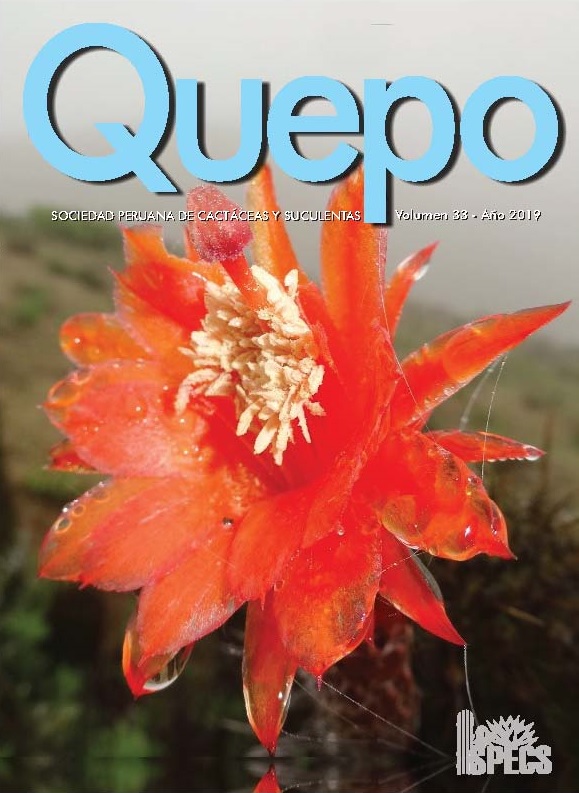 LIBROS - Librerías San Francisco: Revista: Quepo Volumen 33 - Año 2019