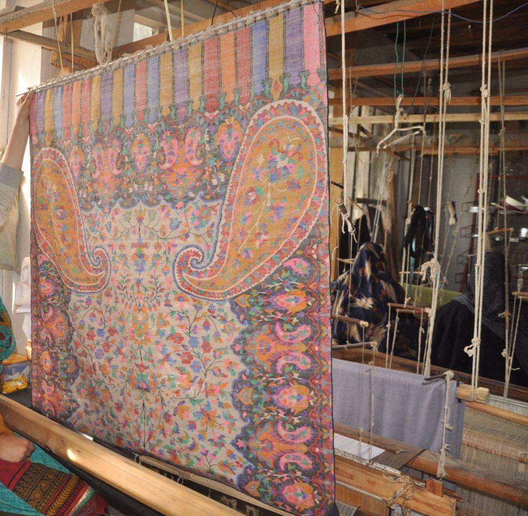 CHINAR SHADE : THE KANI SHAWL OF KASHMIR