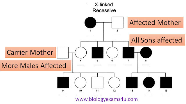Pedigree Analysis meaning, Inheritance Pattern and Problem Solving tips ...