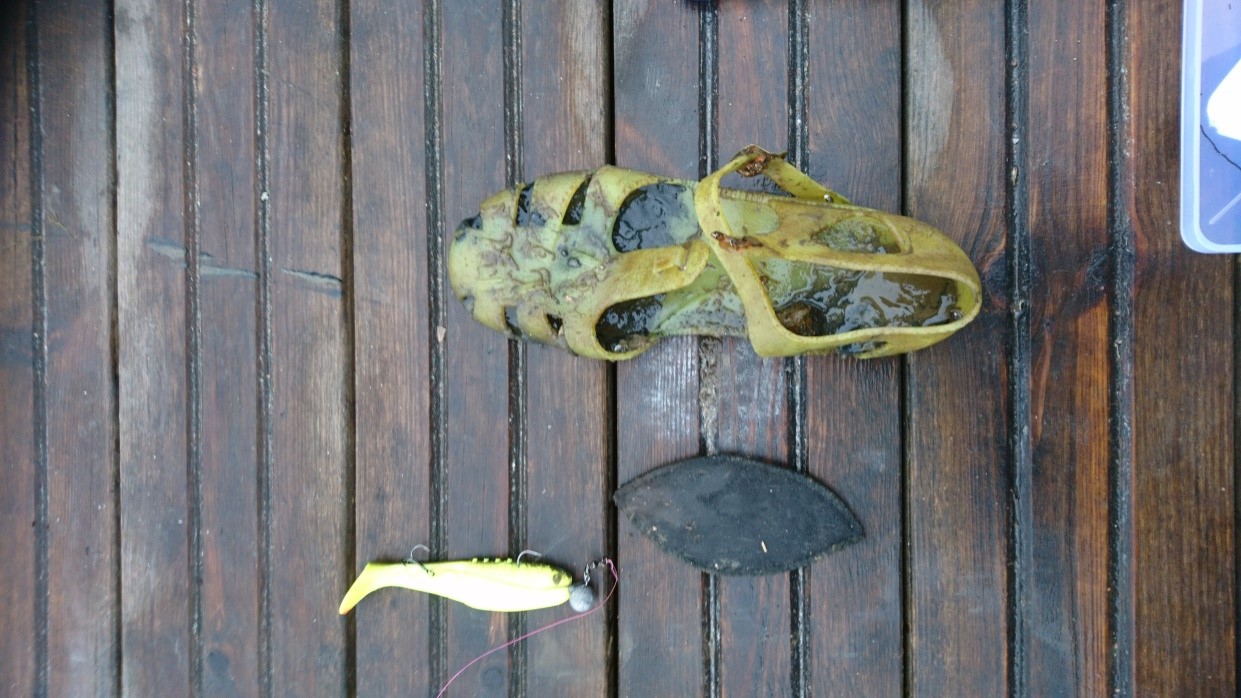 Bloggare | Gavleörings Erik Frodig bloggar om våren som gått!