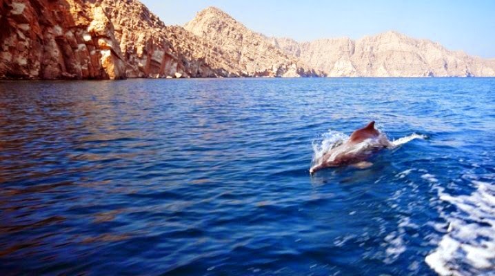 The Most Extraordinary Attractions in Dubai | Best Destinations in the ...