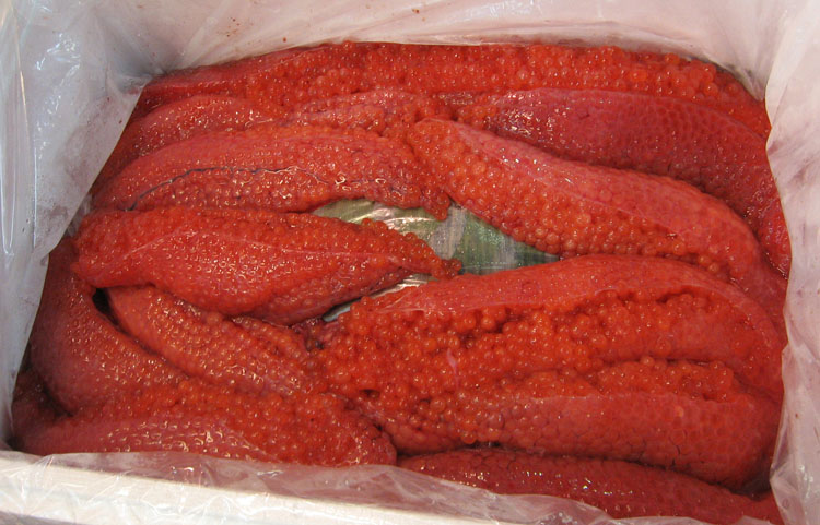 Frozen Tuna Roe Product with High Quality Ingredient - Frozen Tuna Fish ...