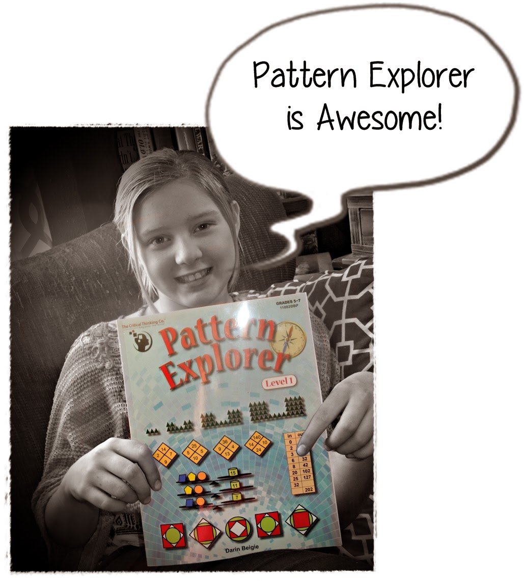 Home Grown Hearts Academy Homeschool Blog: The Critical Thinking Co ...