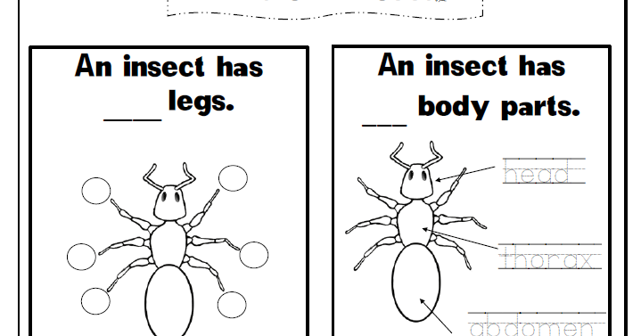 What is an Insect? Notebooking Pages | TJ Homeschooling