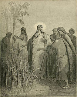 My Reflections...: Reflection for July 19, Friday: Fifteenth Week in ...