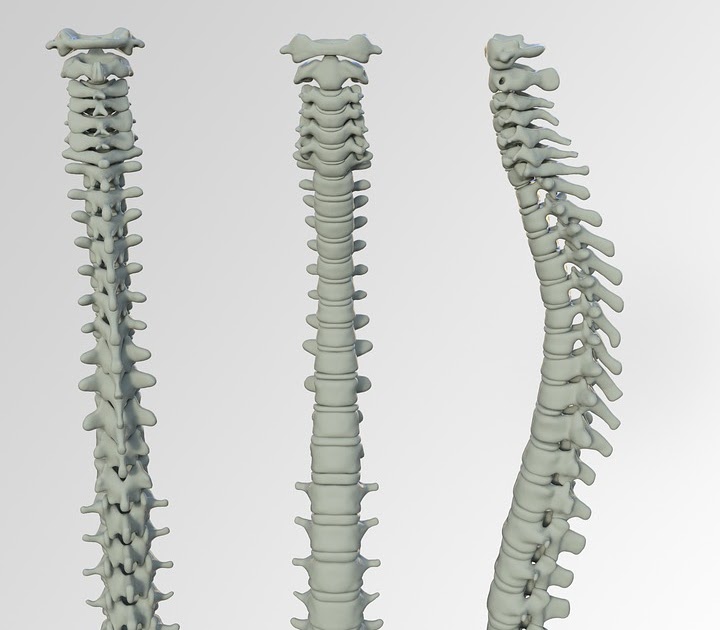 When Should You See A Spine Specialist when-should-you-see-a-spine-specialist