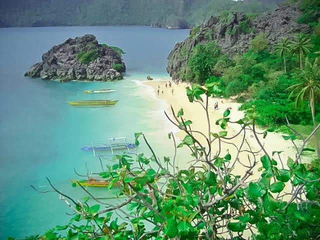 Krirosheemine: The Mysterious Milk fish guarding the hidden lagoon ...