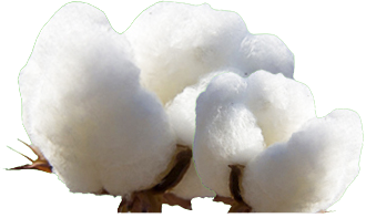 COSAS PARA PhotoScape: IMÁGENES PARA PHOTOSCAPE,PHOTOSHOP Y GIMP DE ALGODÓN