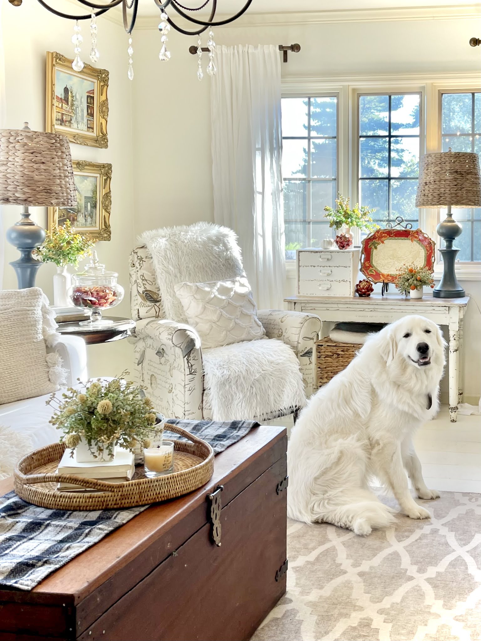 DIY Whole House Makeover: A continuing story ;)