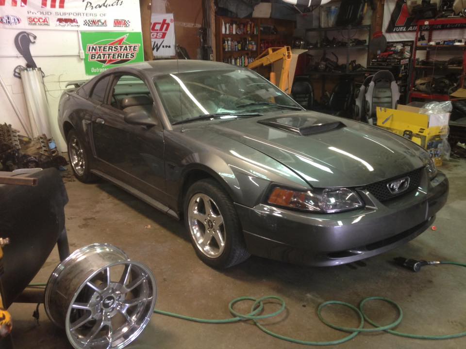 Whiteboy's Mustangs: 2003 mustang GT DSG