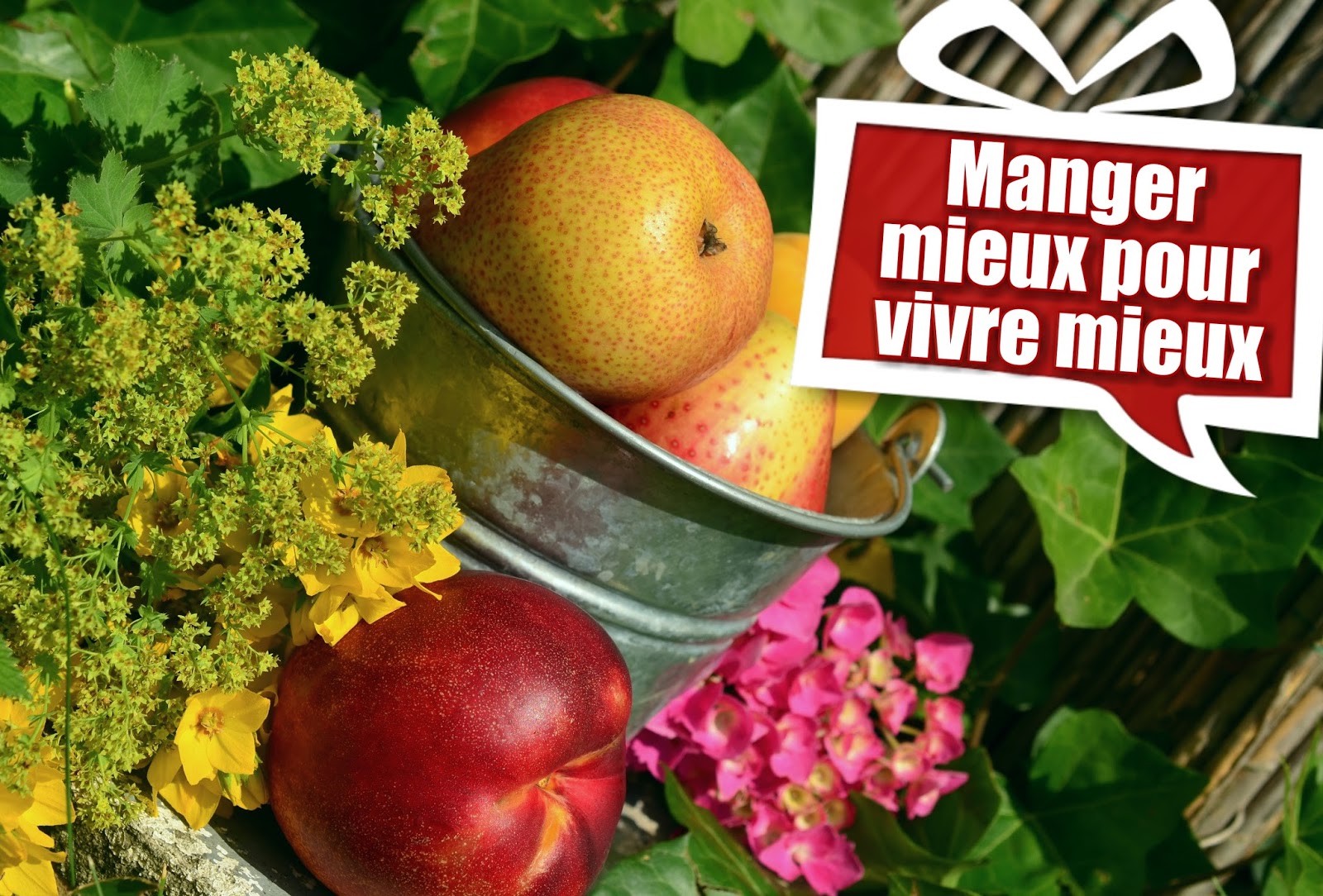 Manger mieux pour vivre mieux by ATC Movement