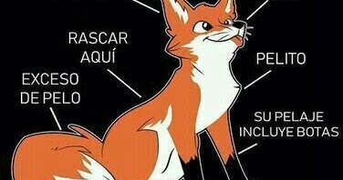 FOXLOVE: ANATOMÍA DEL ZORRO
