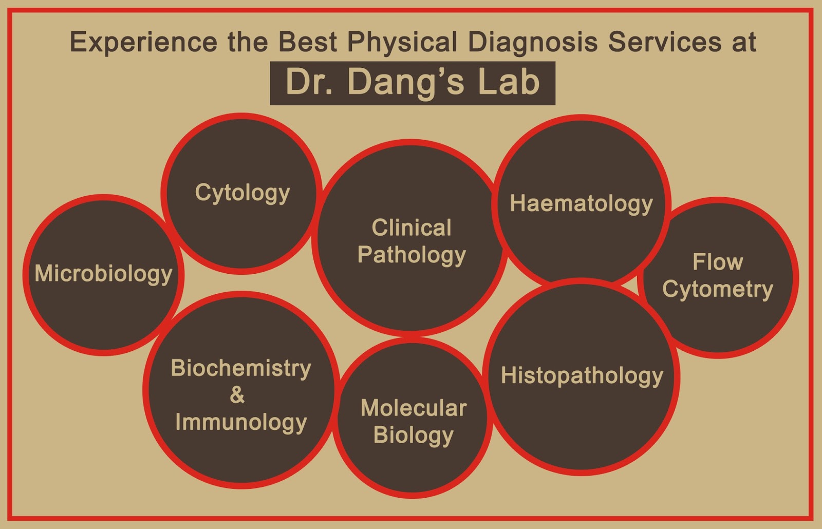 Dr. Dangs Lab: Encounter the Best Physical Analysis Administrations at ...