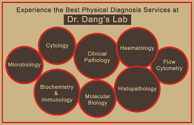 Dr. Dangs Lab