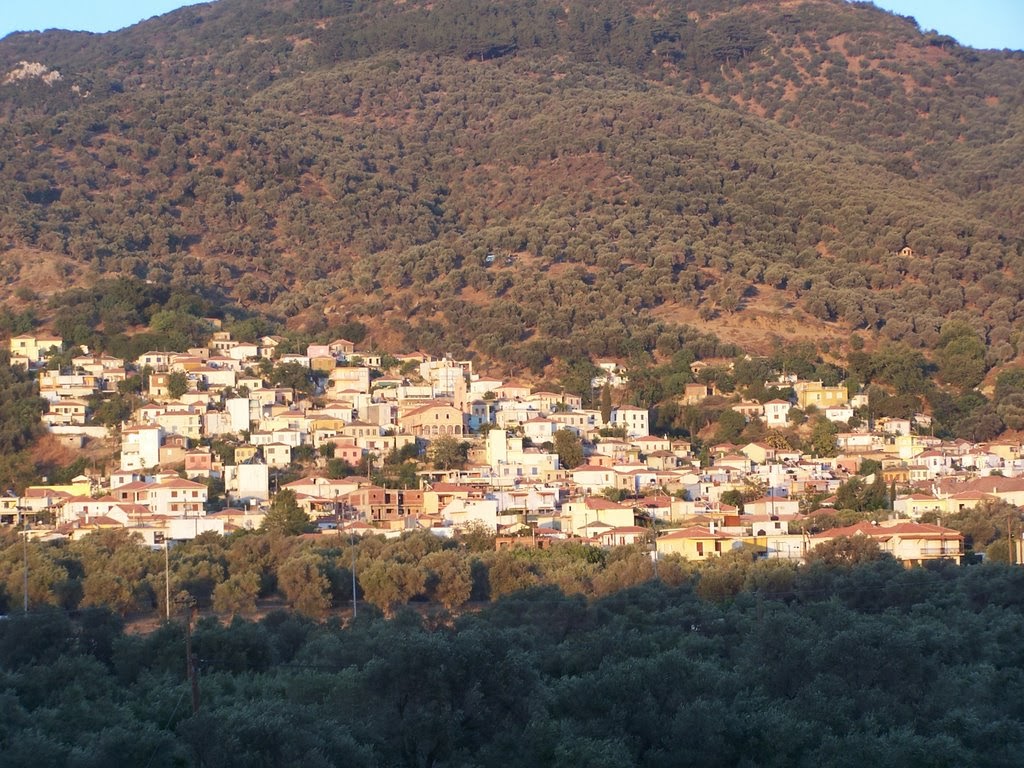 ΜΙΑ ΕΠΙΣΚΕΨΗ ΣΤΟ ΜΑΓΕΥΤΙΚΟ ΝΗΣΙ ΜΑΣ