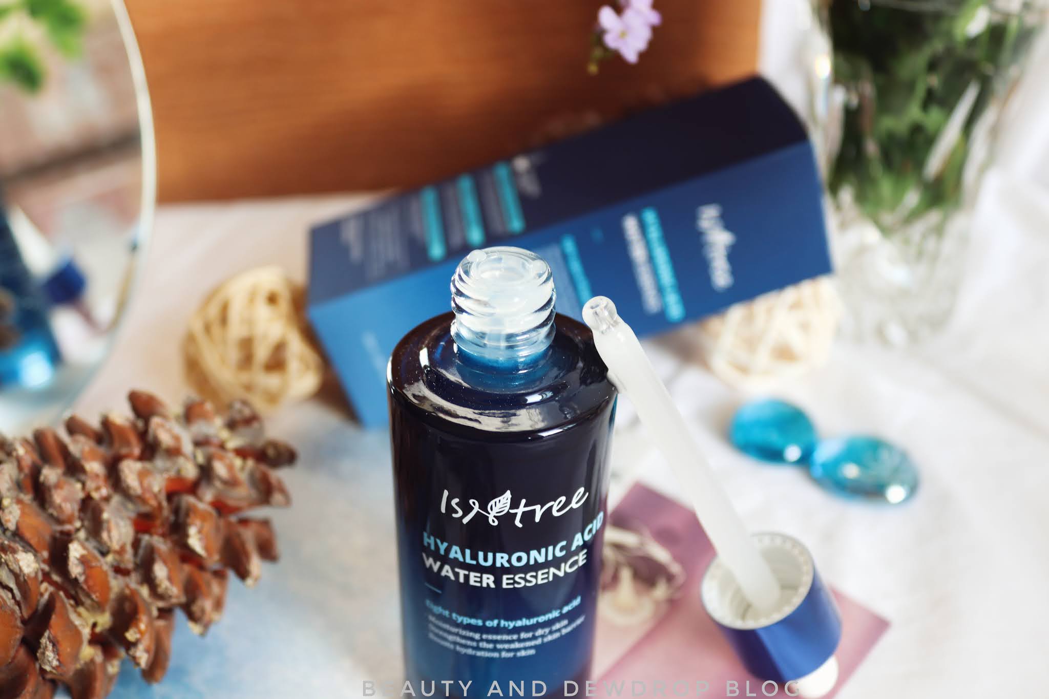 [Review] Isntree Hyaluronic Acid Water Essence - Beauty & Dewdrop Blog
