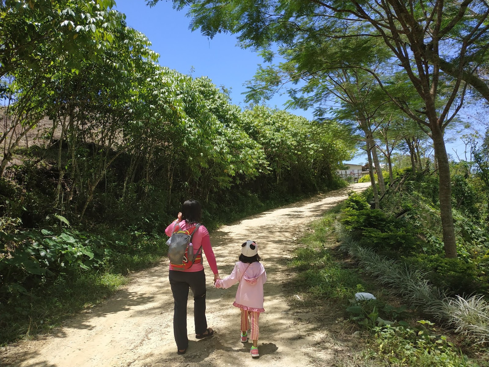 TravelBudDear: Gambodes Falls, Arakan, North Cotabato