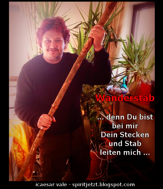 Wanderstab - Holzarbeit und Natur - Selber machen Anleitung - Selbst ...