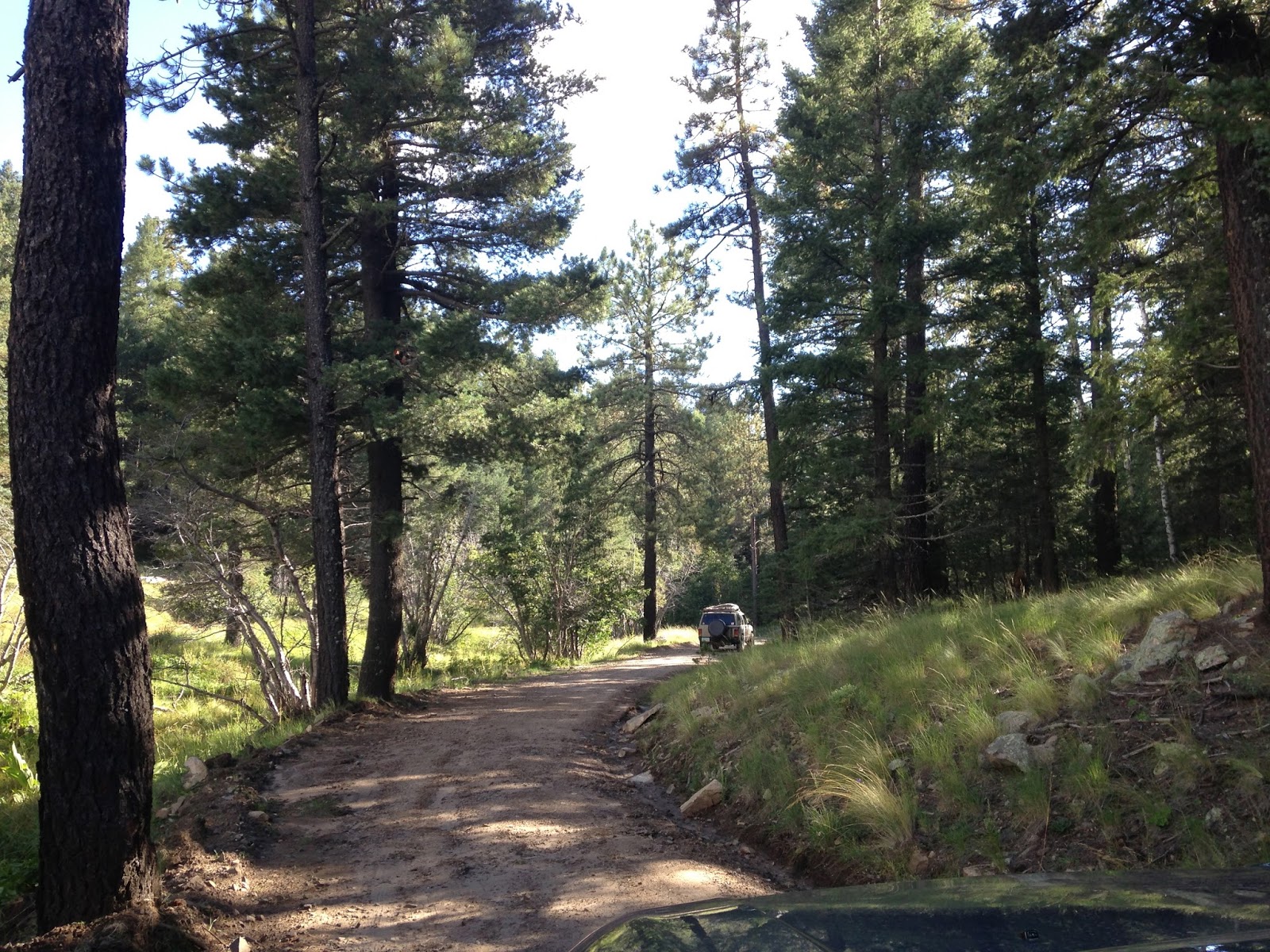 Arizona's Mount Graham, Coronado National Forest | Truck Camper Adventure