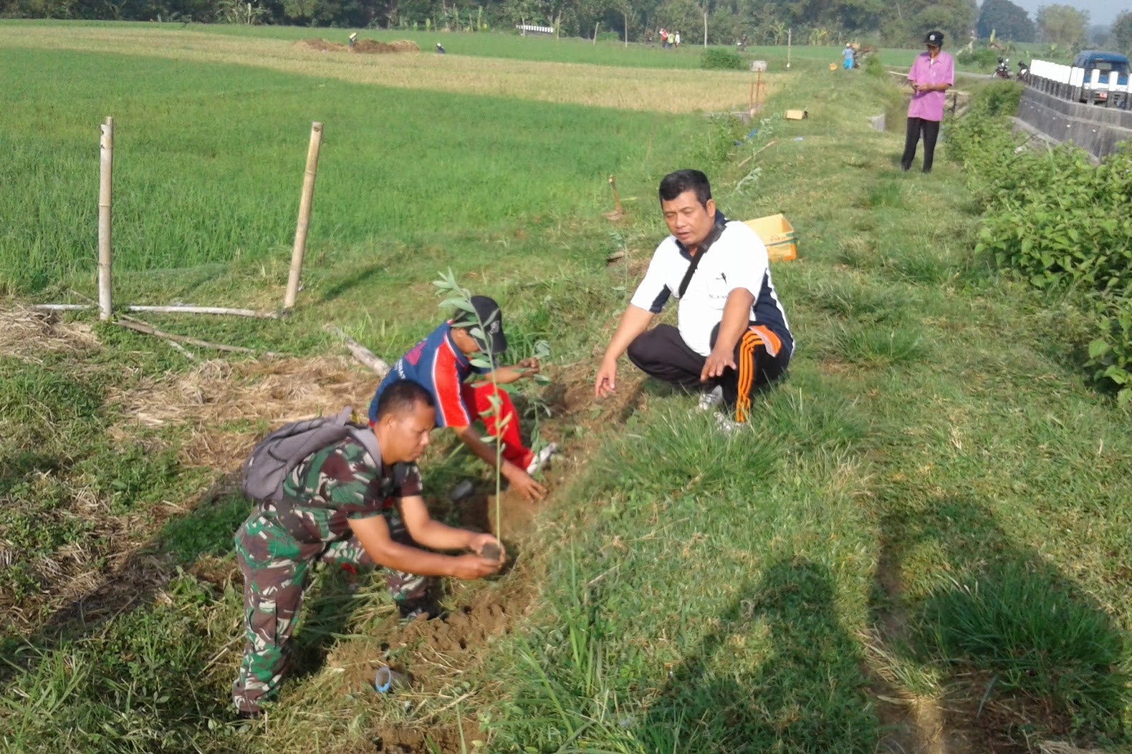 GERAKAN TANAM TANAMAN PERANGKAP HAMA PADI ~ SEPUTARBLORA