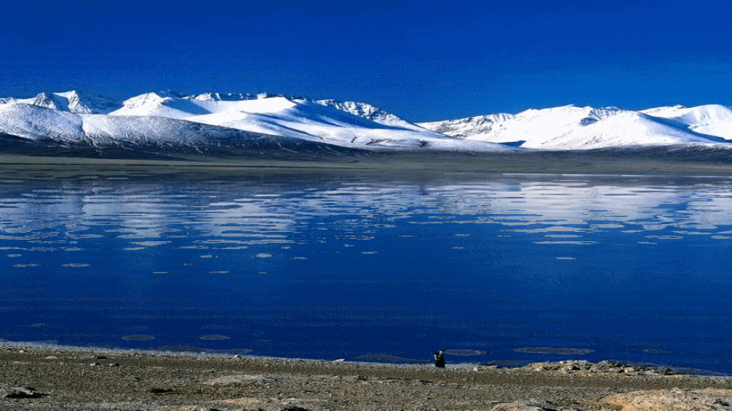 Nature looks beautiful... animation gif - Point of view