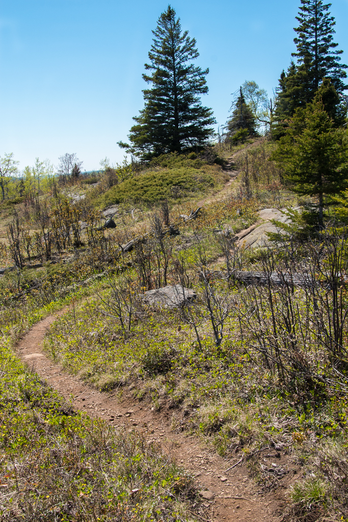 Cliffs and Ruins: Isle Royale 2019, Day 3: Moskey Basin to Daisy Farm ...