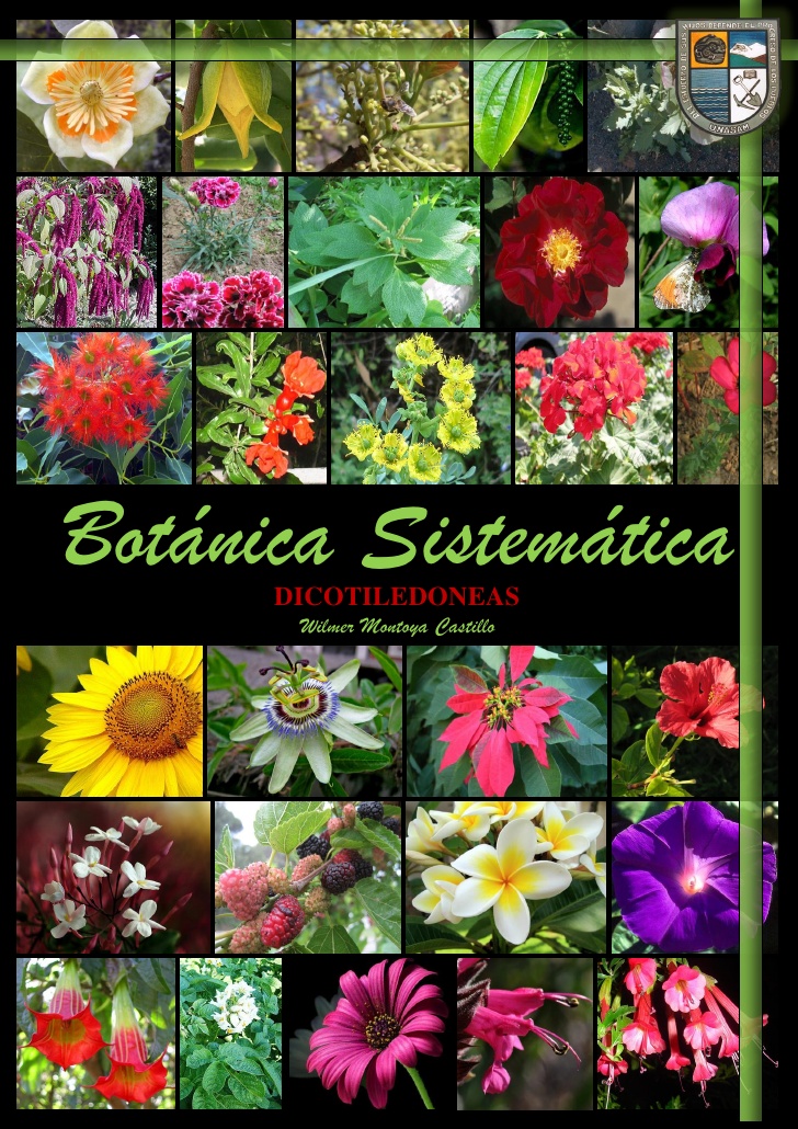 Que Es La Taxonomia Botanica at Timothy Mitchell blog