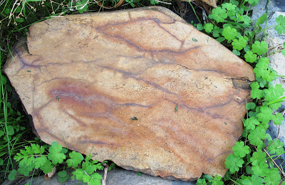 Medusa's Kitchen: On The Road Again