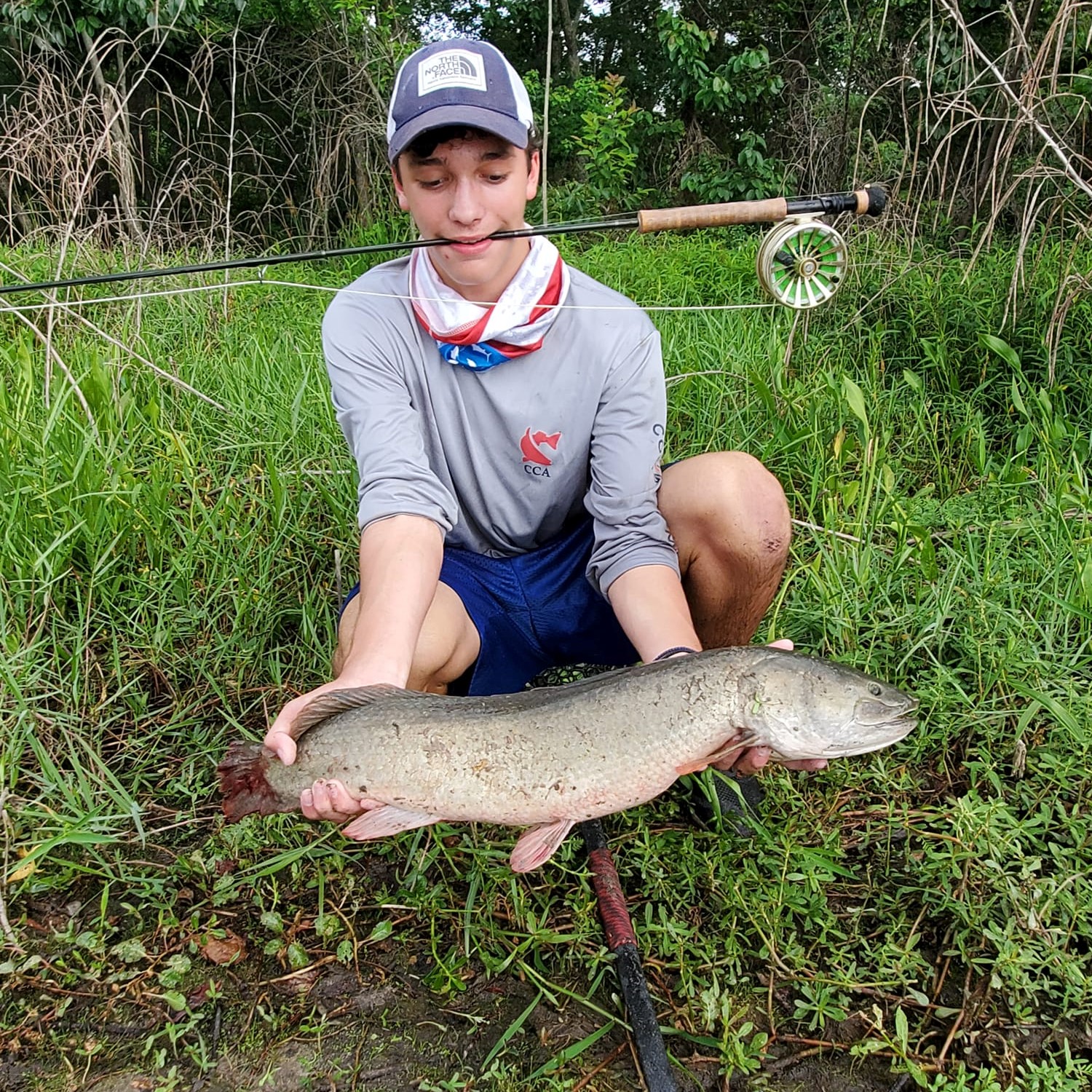 Fish Spotlight: Bowfin
